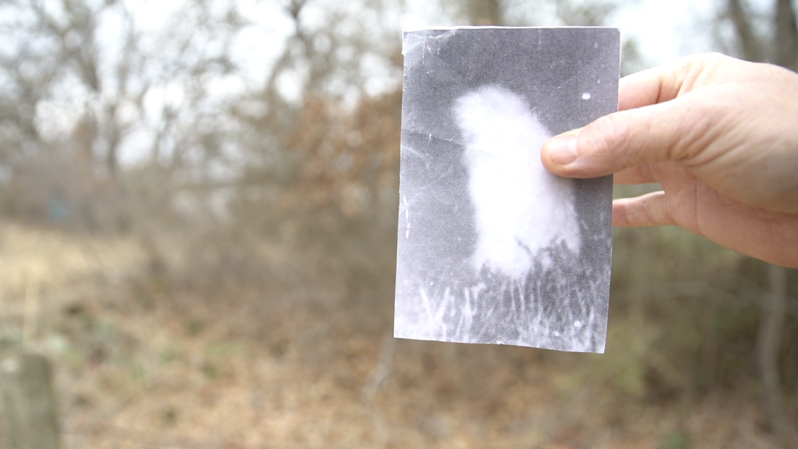 Tracking Goatman: The story behind the Lake Worth Monster | khou.com